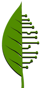 ecoKI | Forschung für die Umwelt
